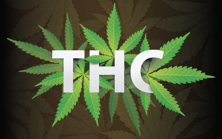 Noire Dispensary | Recreational Dispensary in Maplewood, NJ