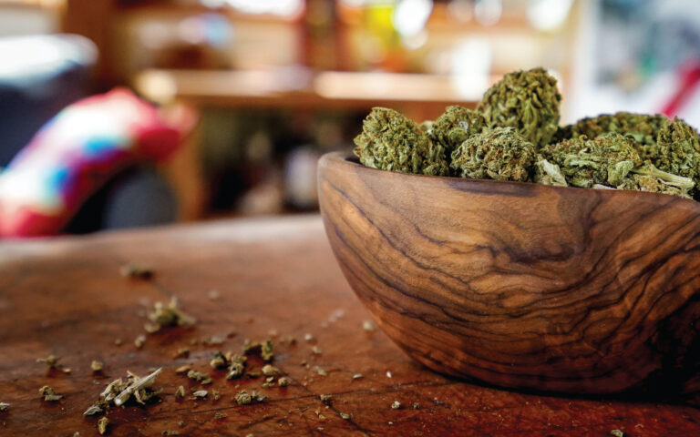 Noire Dispensary | Trusted Wellness Solutions in Maplewood, NJ