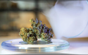 Noire Dispensary | Recreational Dispensary in Maplewood, NJ