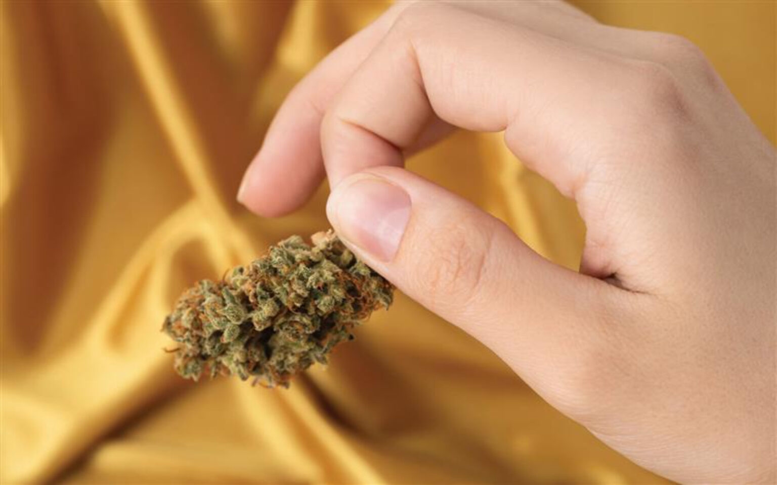 Noire Dispensary | Recreational Dispensary in Maplewood, NJ