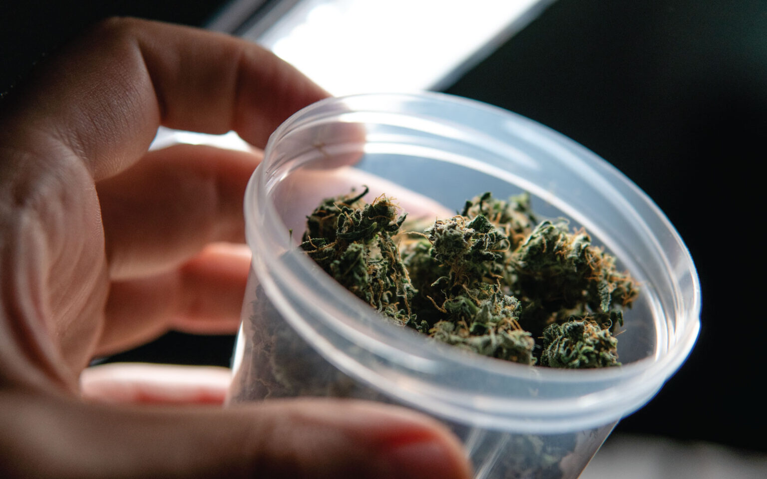 Can You Keep Weed in the Fridge? Where to Put Cannabis When It’s Hot ...